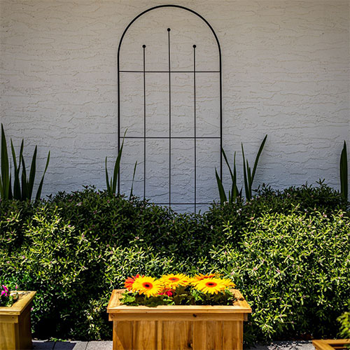 Spiral - Arch Trellis - Peak Products (Canada)