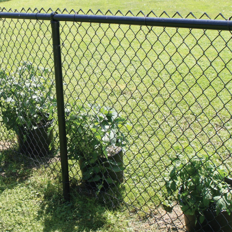 Chain Link Fence - Peak Products (Canada)